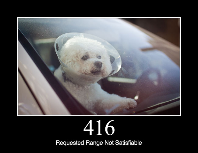 Resolving HTTP Error 416 Requested Range not satisfiable (IIS 7.5 ...